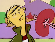 Fool on the Ed/Gallery | Ed, Edd n Eddy | Fandom