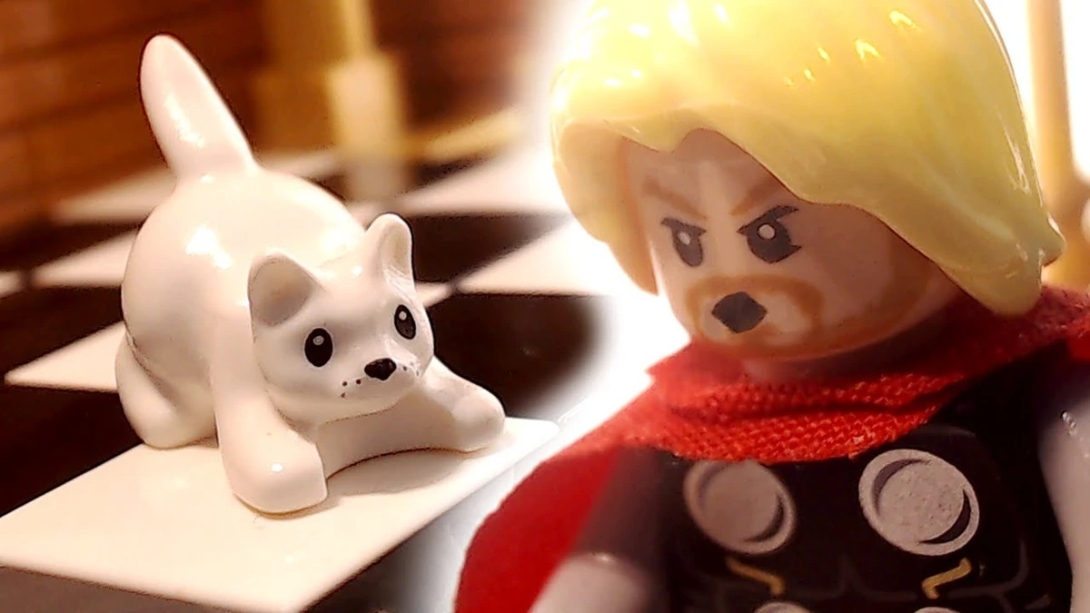 Thor's NEW Cat! | Edwinpedia: The Edbound Wiki | Fandom