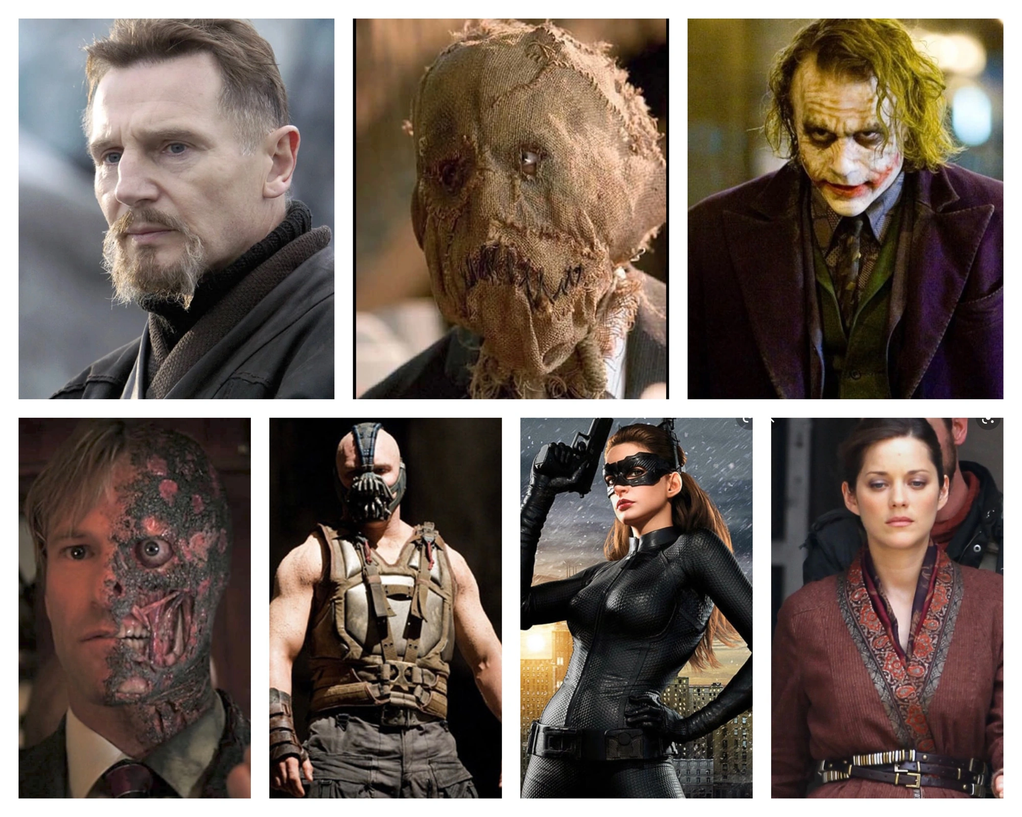 The Dark Knight Trilogy Villains | Fandom