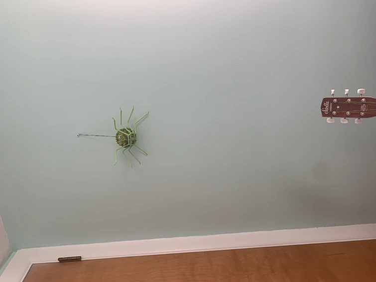 Spider on wall | Fandom