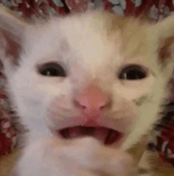 how cooked am I. | Fandom