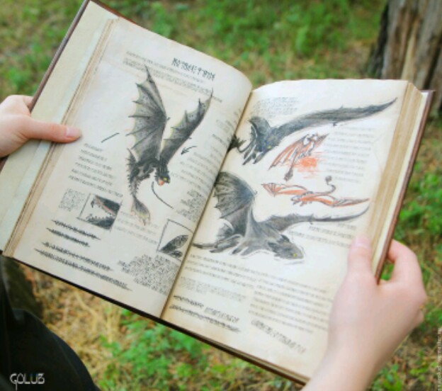 Книга Драконов в жизни | Fandom