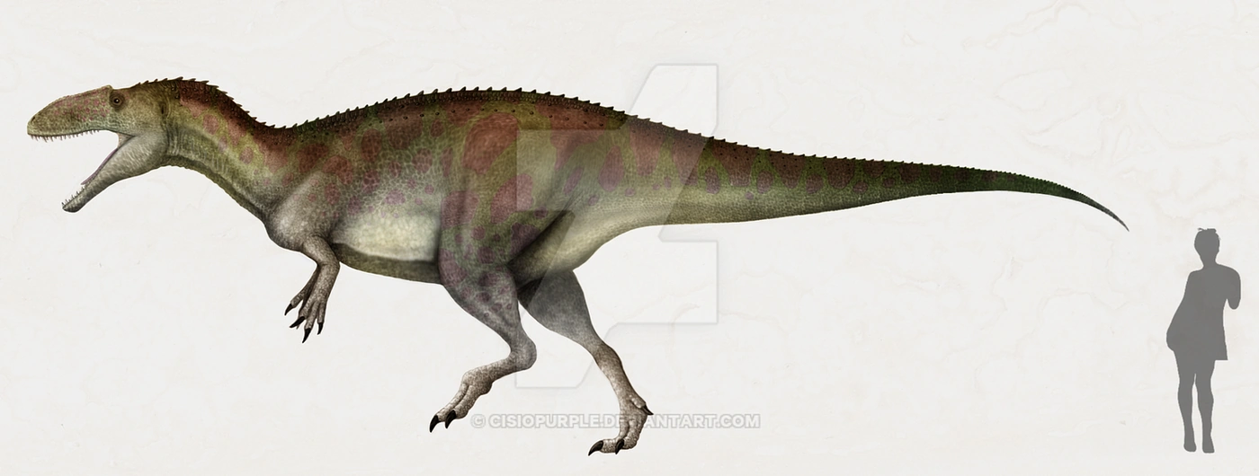 Lava catacombs winner/death | Fandom