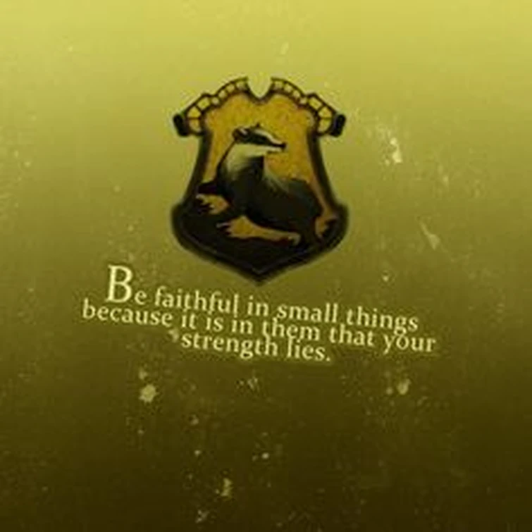 Hufflepuff Pride Day 💛🖤💛🖤💛🖤💛🖤💛🖤💛🖤💛🖤💛🖤 | Fandom