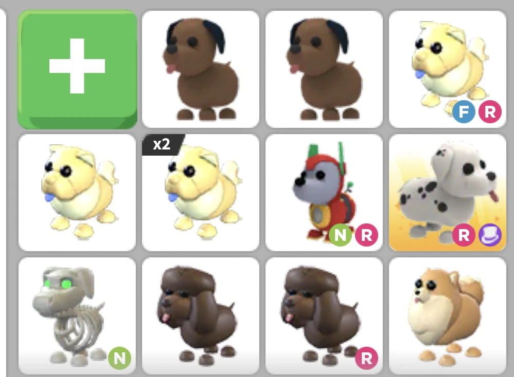 my dog collection | Fandom