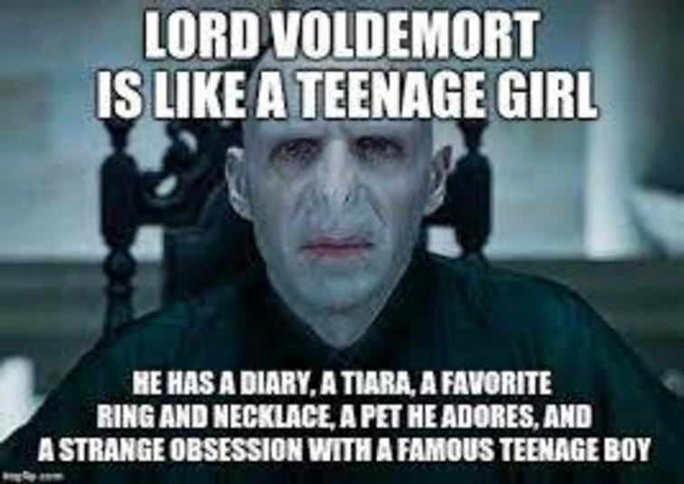 WOW Voldemort is a girl . . . | Fandom