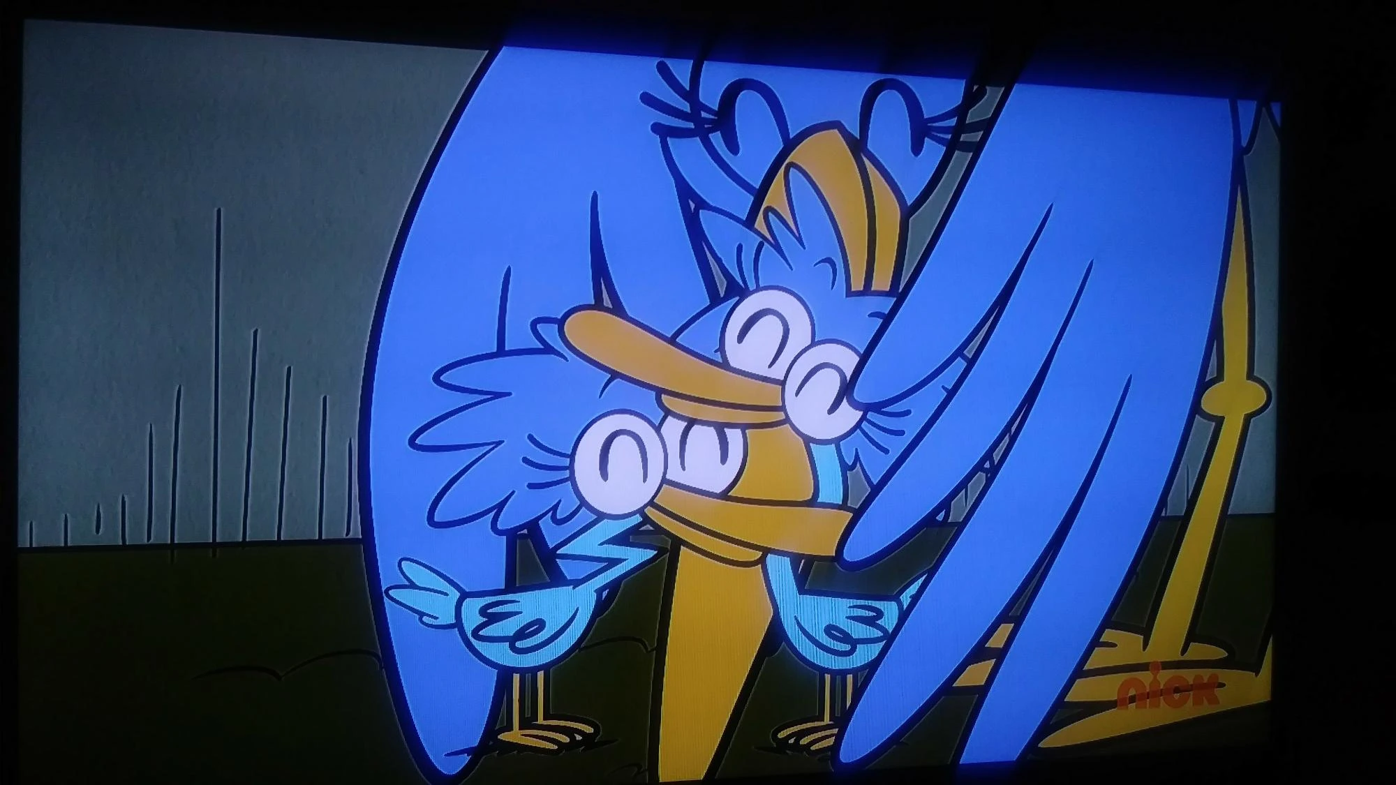 Yoon and kwan the cute litte African Ergets chicks | Fandom