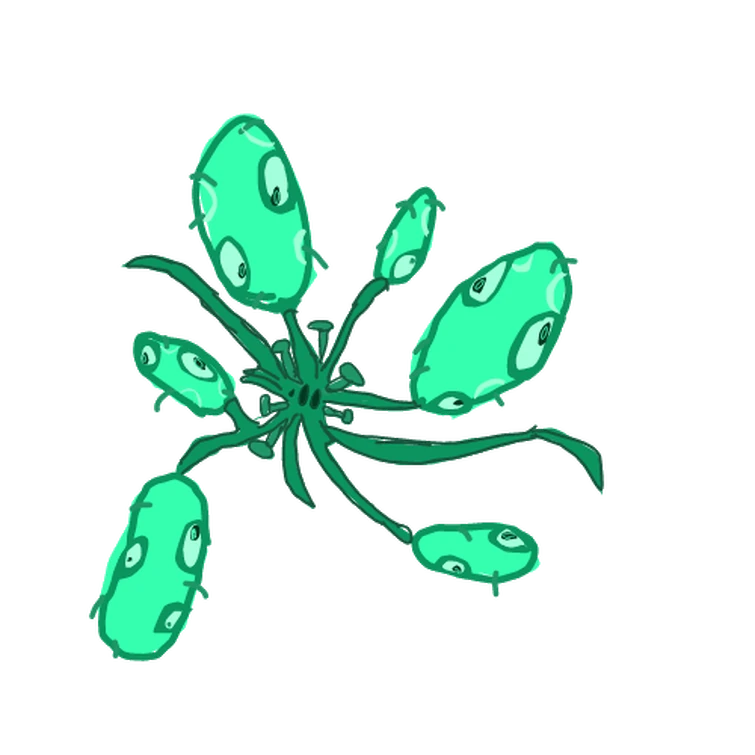 Meecrub, The Cellular-Poison Double | Fandom