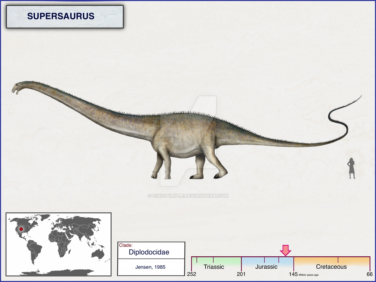Supersaurus : The Longest Dinosaurs | Fandom