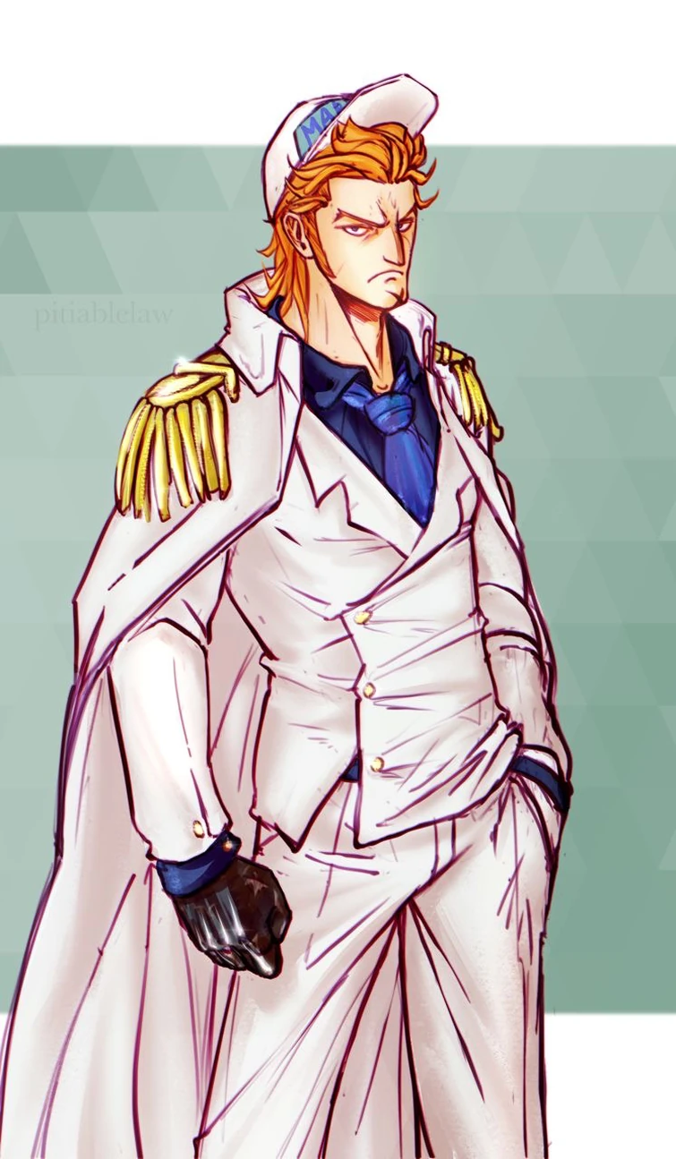 One Piece Character Sheet | Fandom