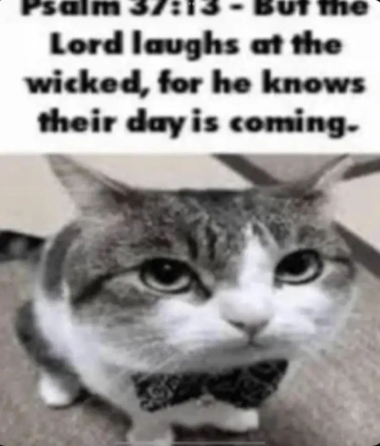 Wiki rule update | Fandom