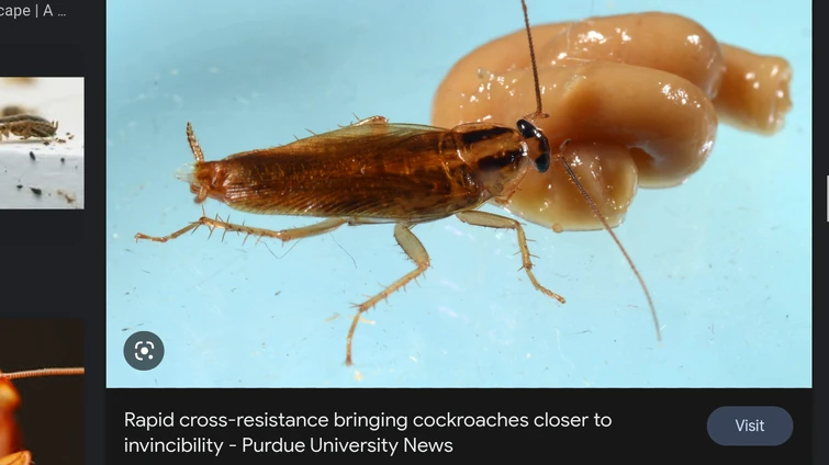 Discuss Everything About Dinopedia | Fandom