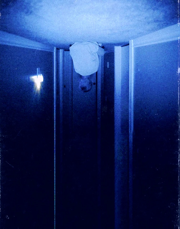 Discuss Everything About Horror Film Wiki | Fandom