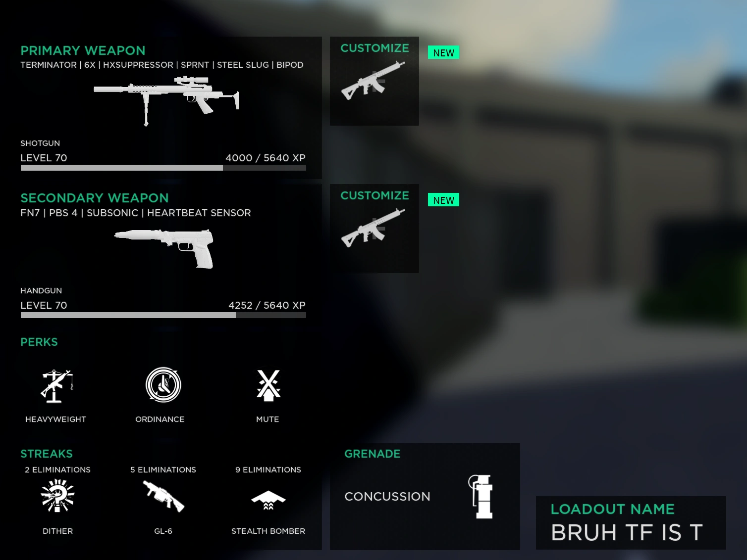 What are some good loadouts you have? | Fandom