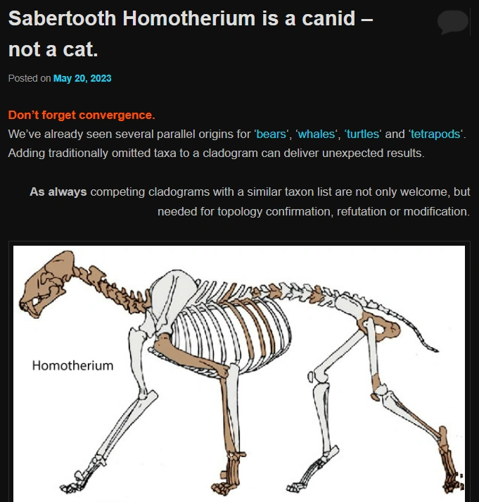 Common David Peters L | Fandom