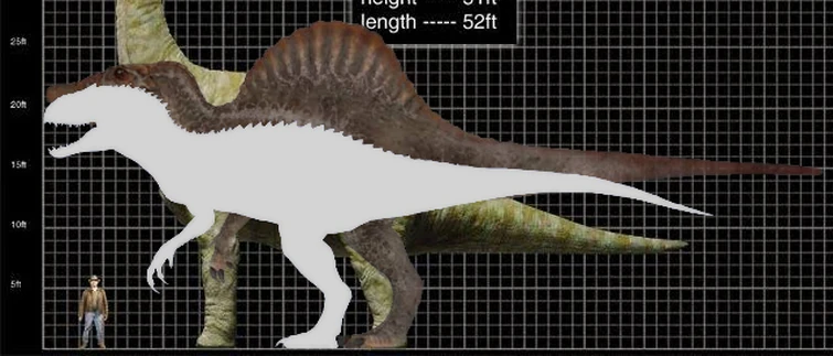 What spinosaurus is bigger? | Fandom