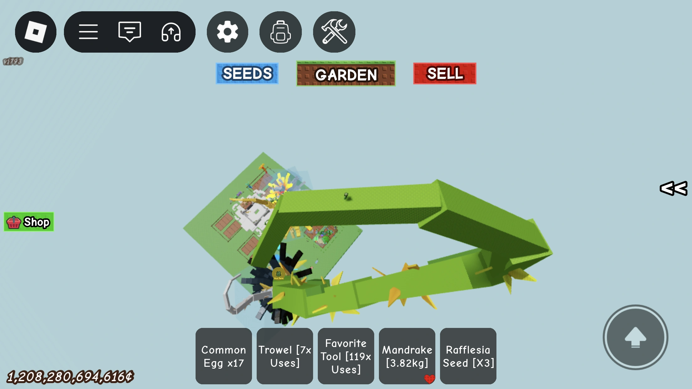 I don’t remember planting another princess thorn, but I somehow have ...