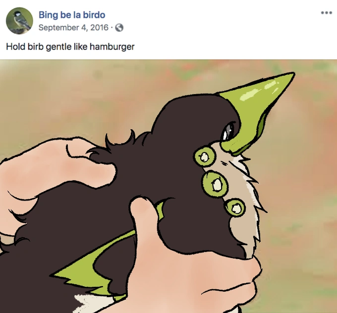 Kiwi. k. kwwi. Kwisin | Fandom