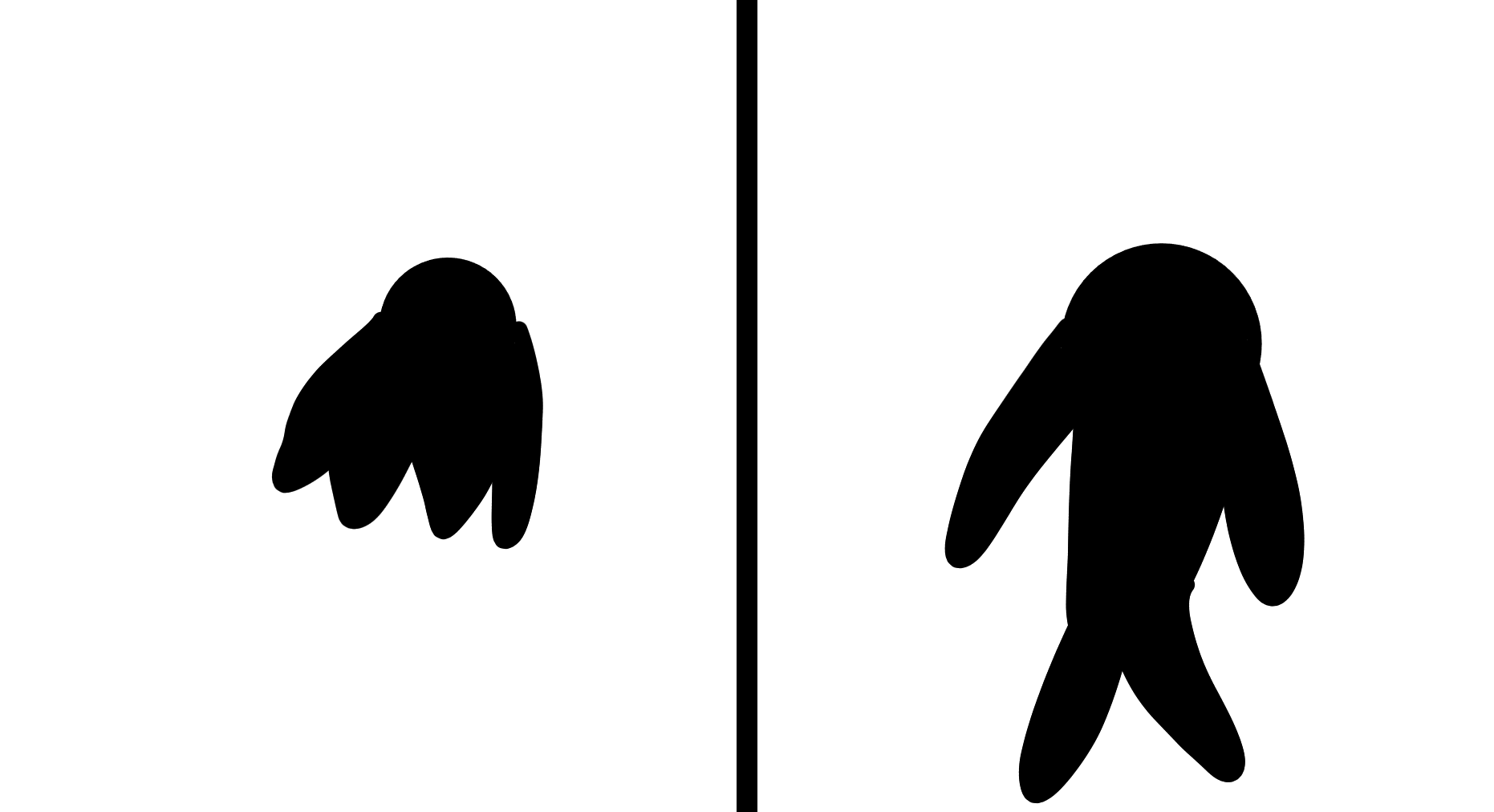 I think I found a new monster | Fandom