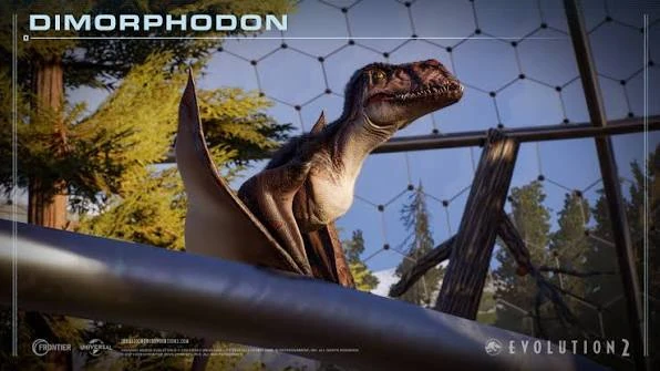 Episode 9 Pterosaur Of The Day: Dimorphodon | Fandom