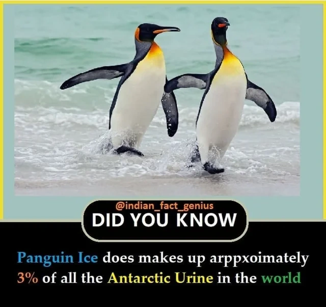 Indian Fact Genius™ | Fandom