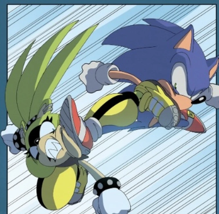 My Sonic ship opinions Day 1. | Fandom