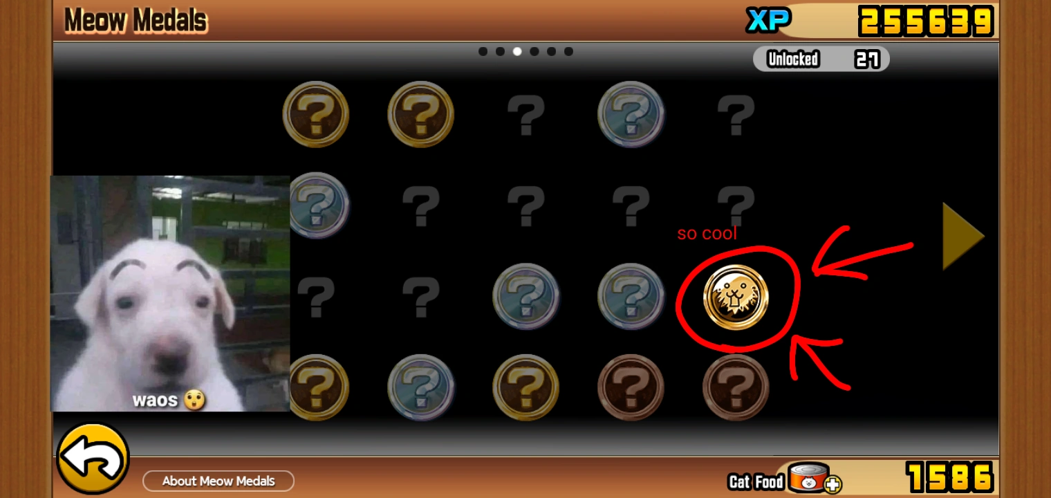 All crazed cats obtained | Fandom