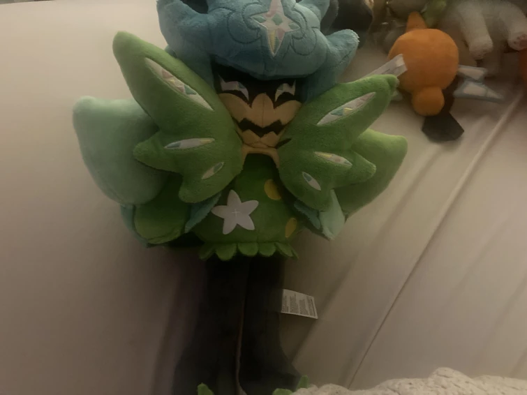 Hey pokemon wiki guess who I got today | Fandom