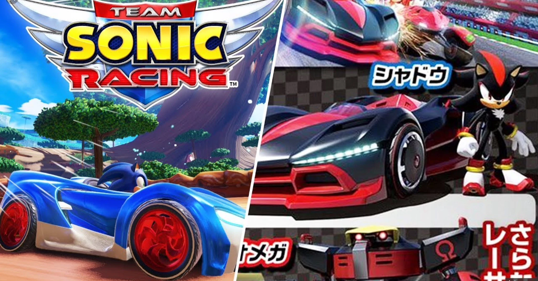 Character predictions Team Sonic racing | Fandom