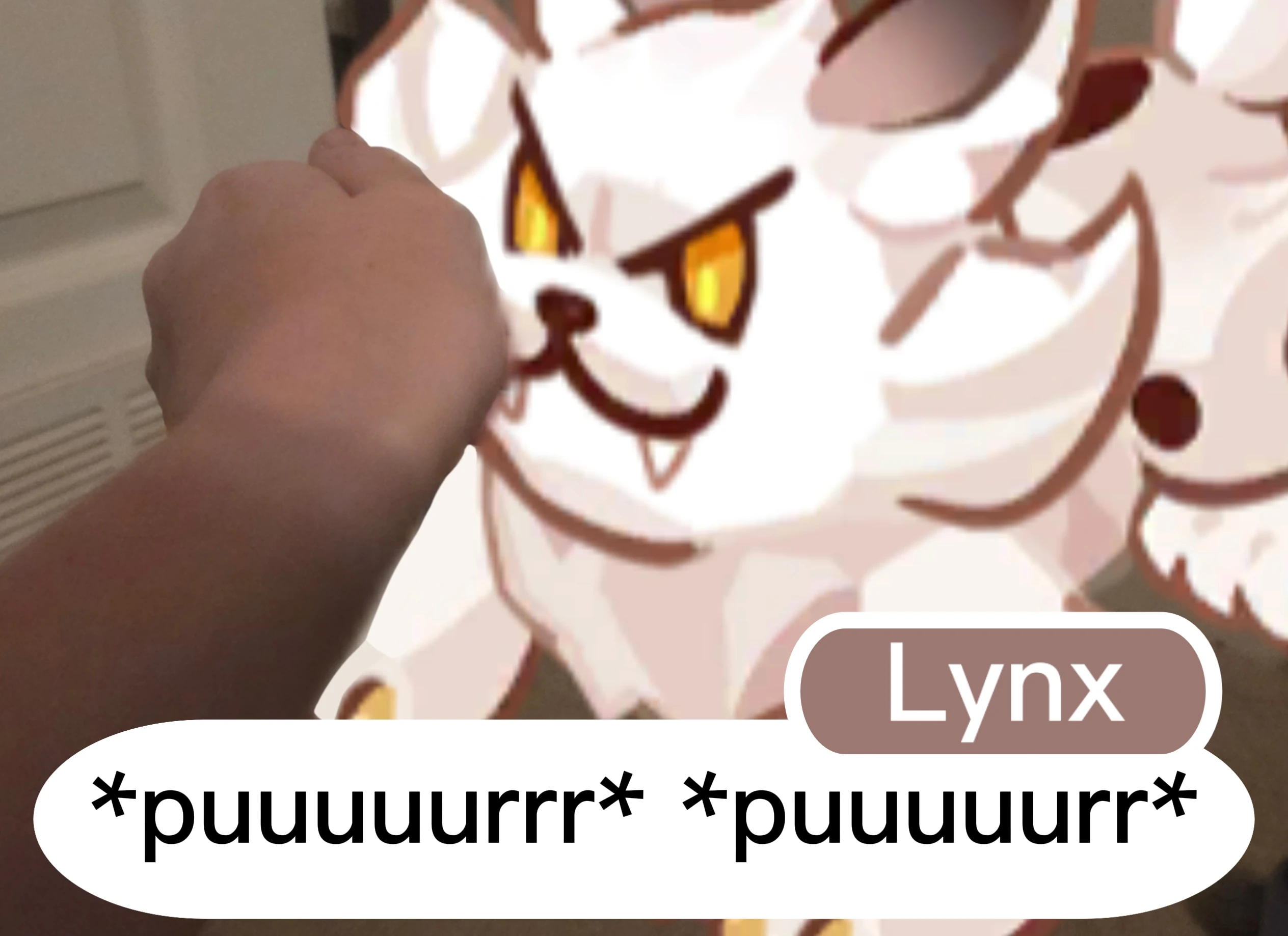 WINNER OF MOST CUDDLY LOOKING IS THE LYNX! | Fandom