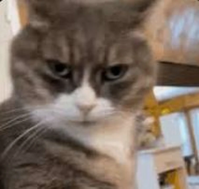 SUGAR APPLE | Fandom