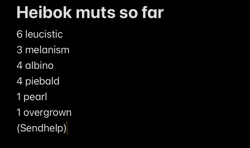 Trying to get shimmer heibok.. | Fandom