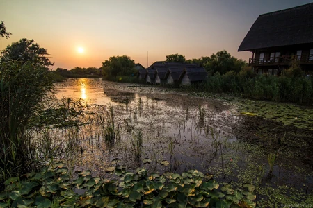 Ivait | Eastern Wiki | Fandom