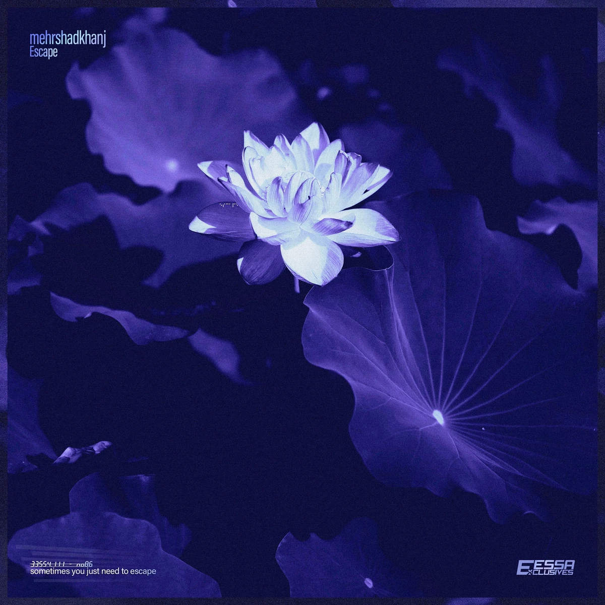 Escape | Eessa Records Wiki | Fandom