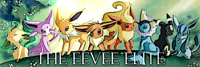 History of the Eevee Elite | The Eevee Elite Wiki | Fandom
