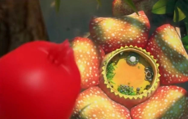 Mango house in real life | Fandom