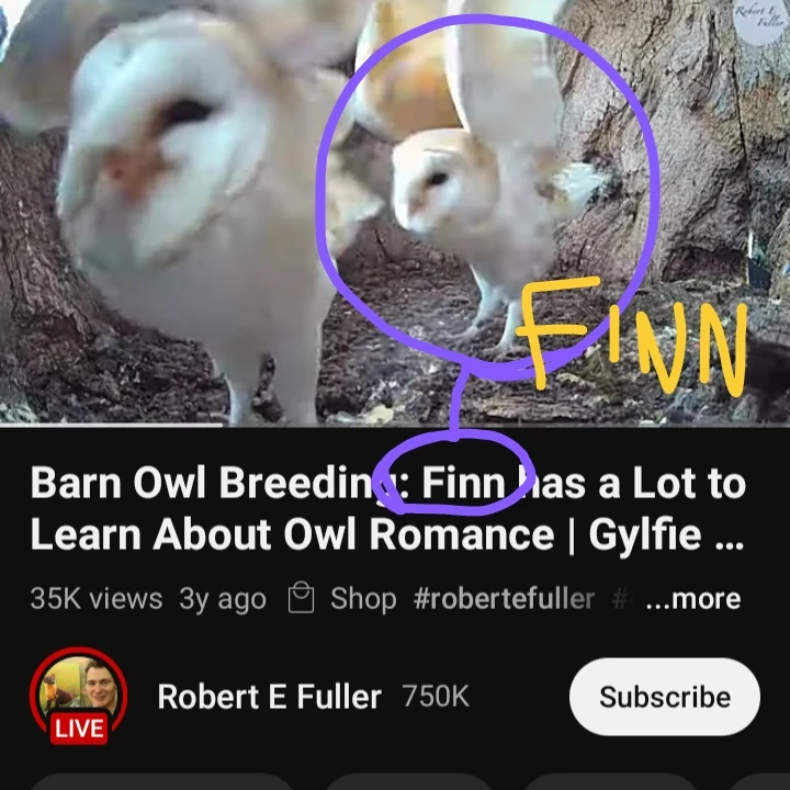 What the frecking frack ! | Fandom