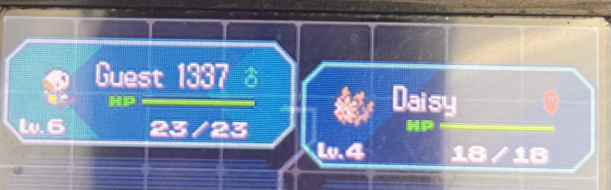 Okay meet Daisy and Guest 1337 as Pokemon! | Fandom