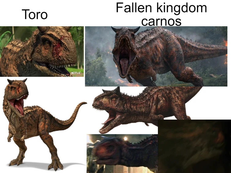Toro is not the same Carnotaur from the end of fallen kingdom and also ...