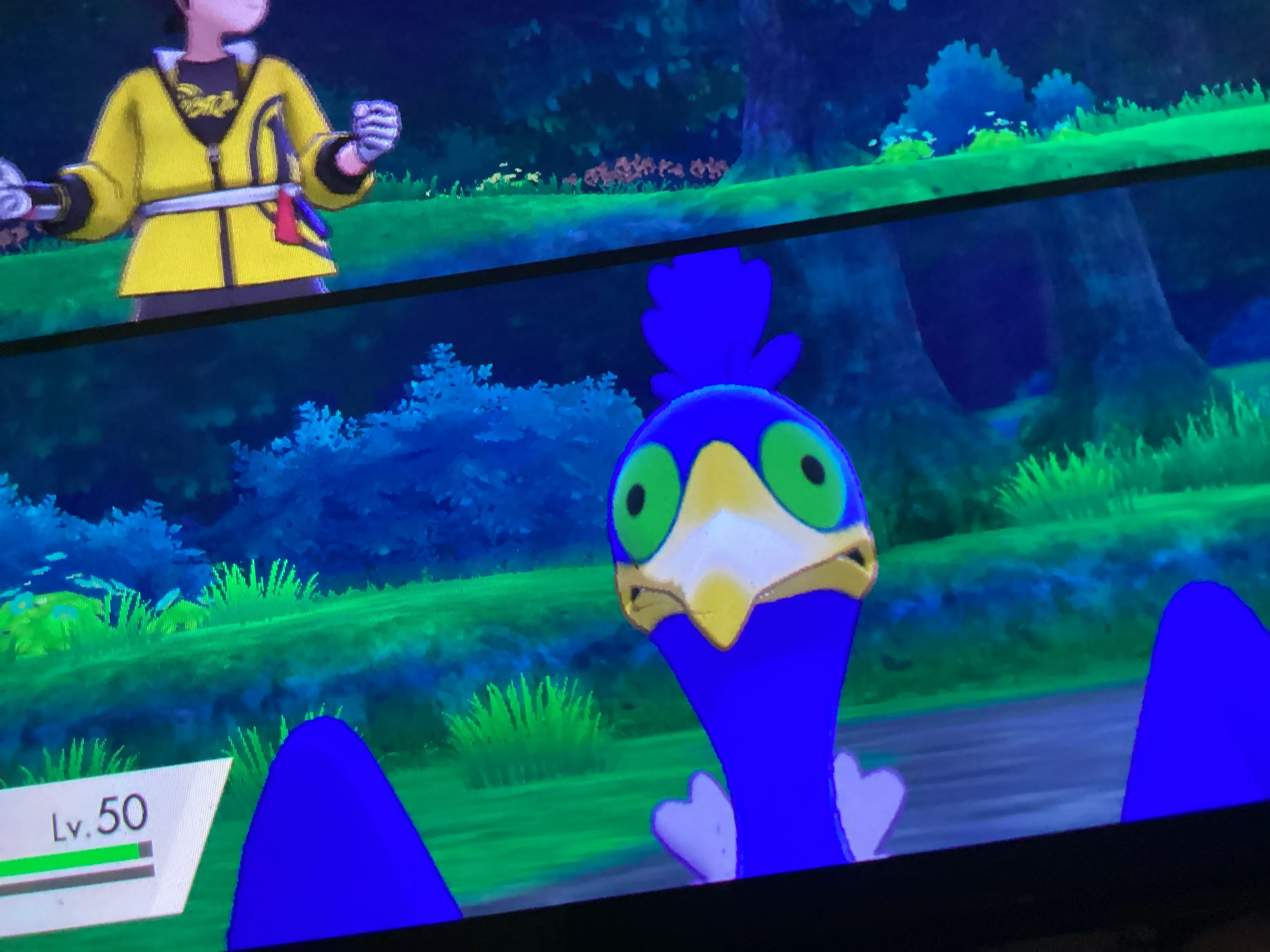 Not a shiny but | Fandom