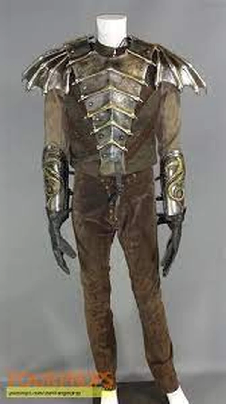 Nilfgaard armor on the Netflix series | Fandom