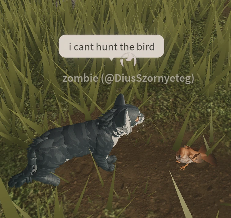 ill post it here, my hunting group suspected sunny was here and i think ...