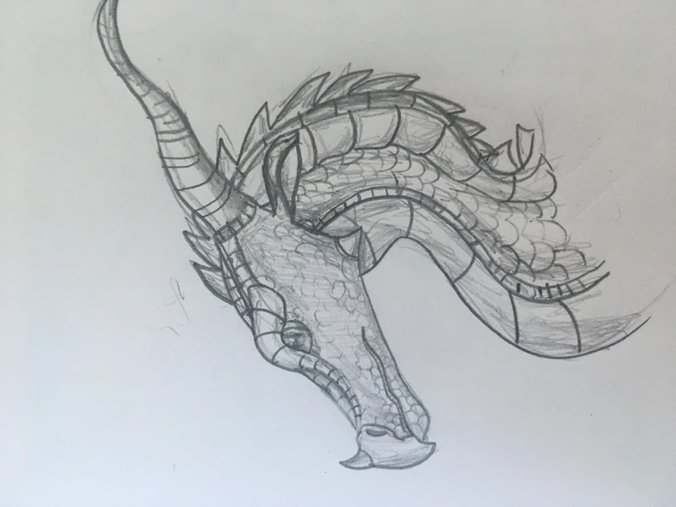 Realistic SkyWing | Fandom