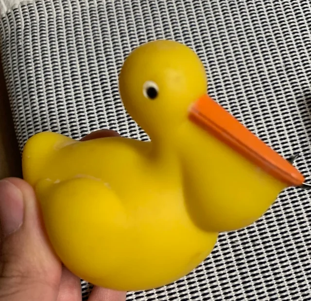 THAT'S ONE WEIRD LOOKING DUCK.. | Fandom