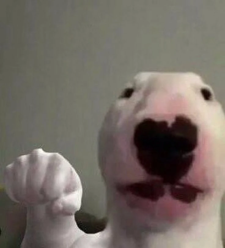 Pov: Last thing an NPC sees after fighting a dog user | Fandom