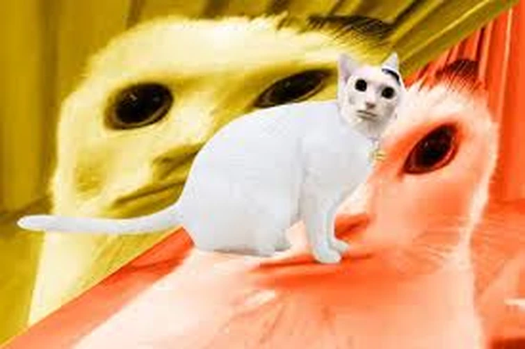 centaura = cetus + house of tau + riaa = cetustauriaa | Fandom