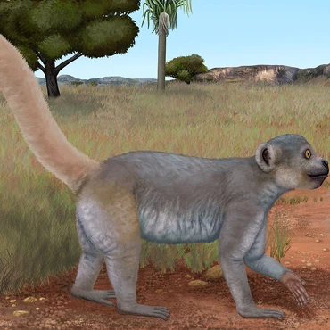 Discuss Everything About Dinopedia | Fandom