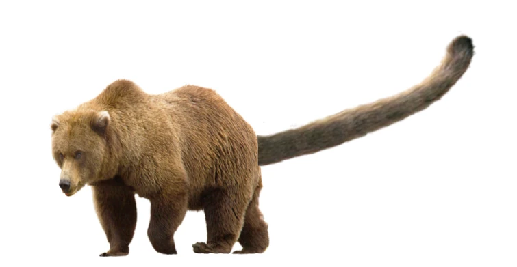 My recreation of the giant monster from GXK | Fandom