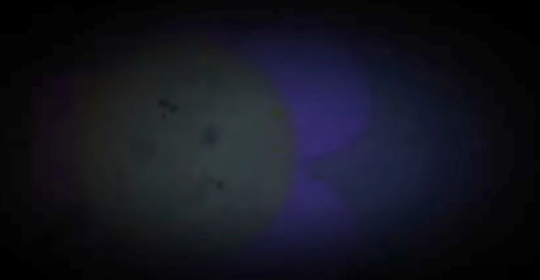 I found a secret | Fandom