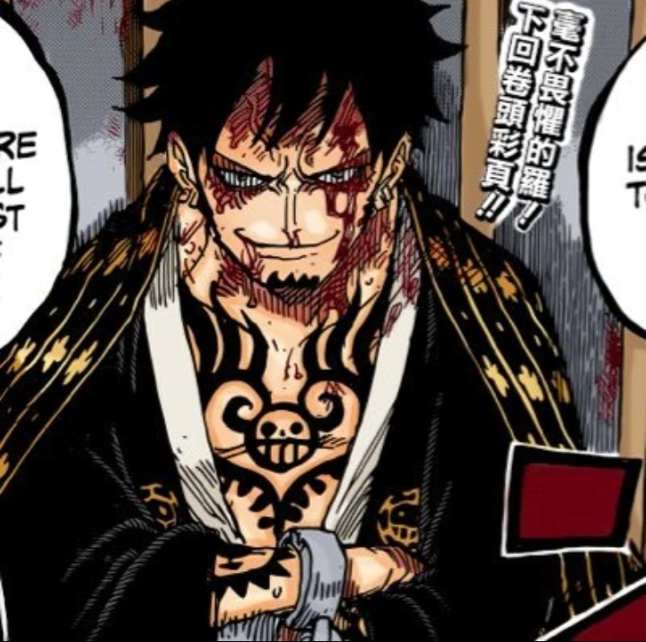 Vivre Card Details | Fandom